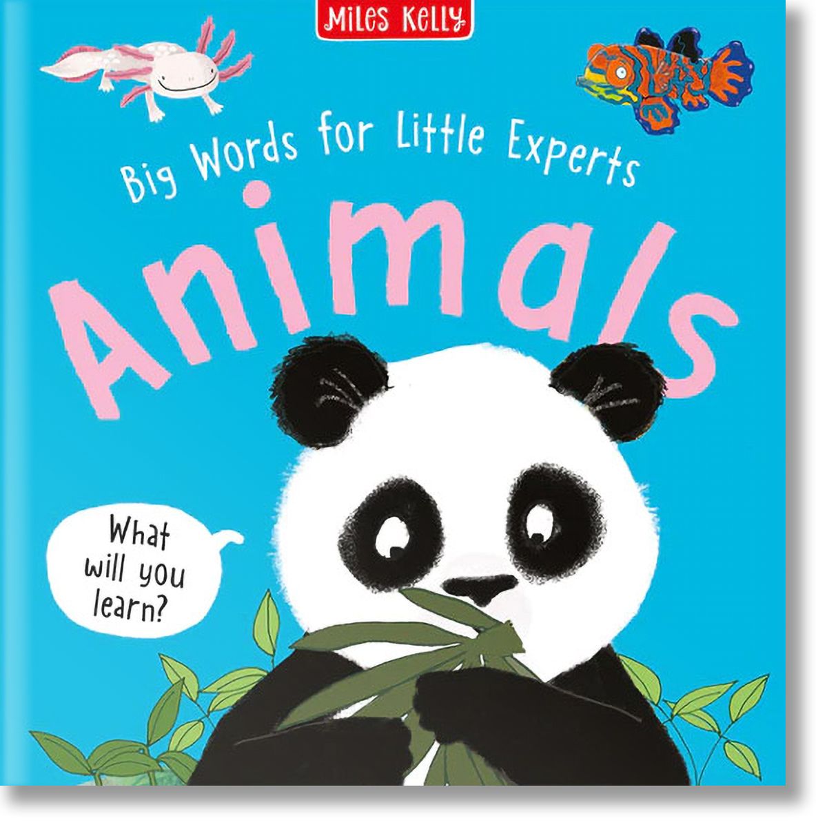 Big Words for Little Experts: 4-pack, Камила де ла Бедойер, Miles Kelly ...