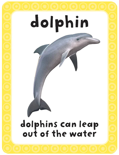 Get Set Go Flashcards: Animals, Miles Kelly Publishing Ltd, Miles Kelly ...