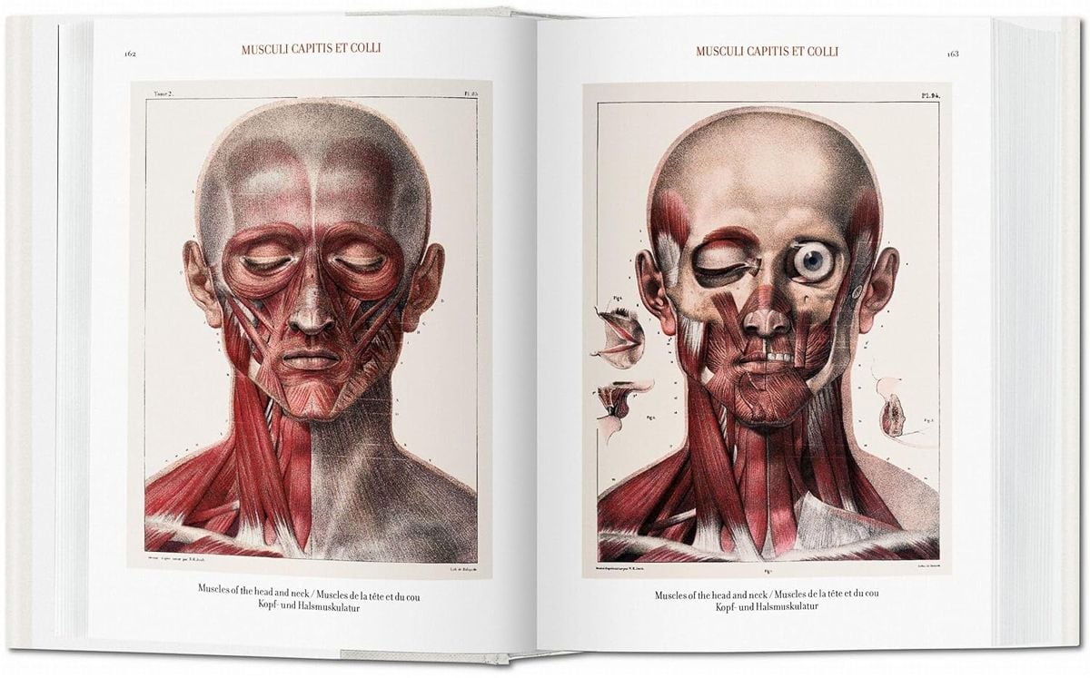 Bourgery. Atlas of Human Anatomy and Surgery, Henri Sick, Jean-Marie Le ...