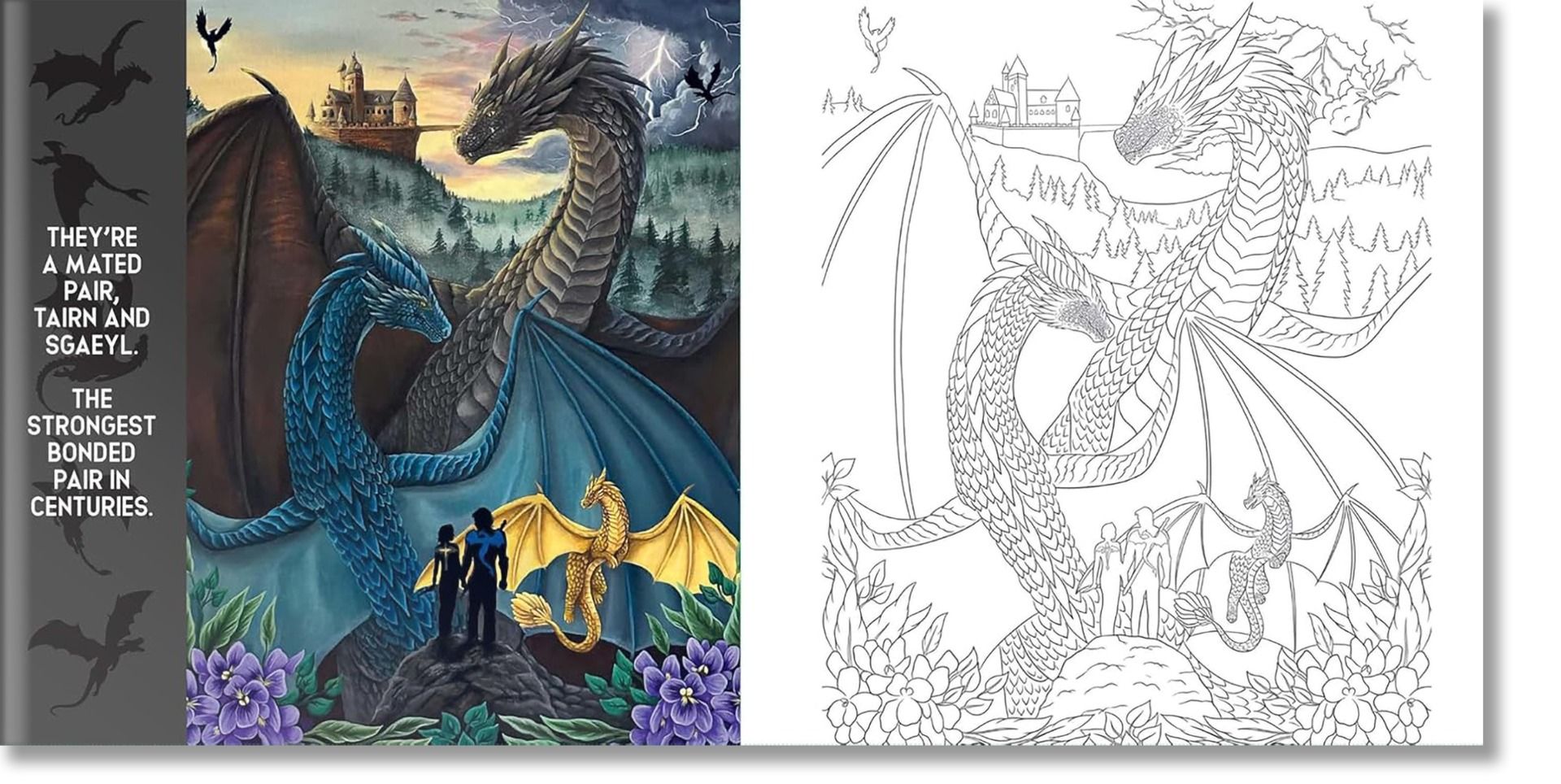 Fourth Wing: The Official Coloring Book, Entangled, Andrews McMeel ...