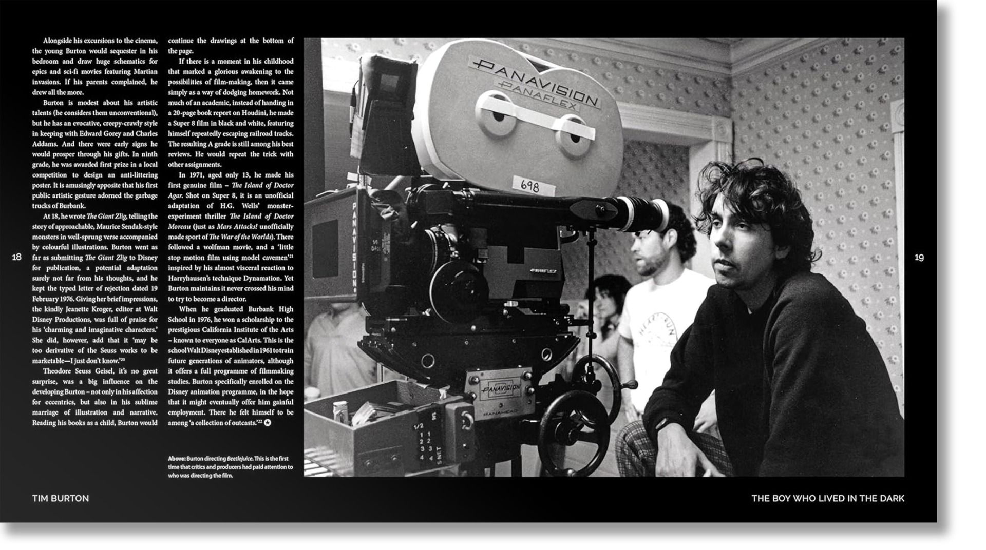 Tim Burton: The Iconic Filmmaker and His Work, Ian Nathan, Quarto ...