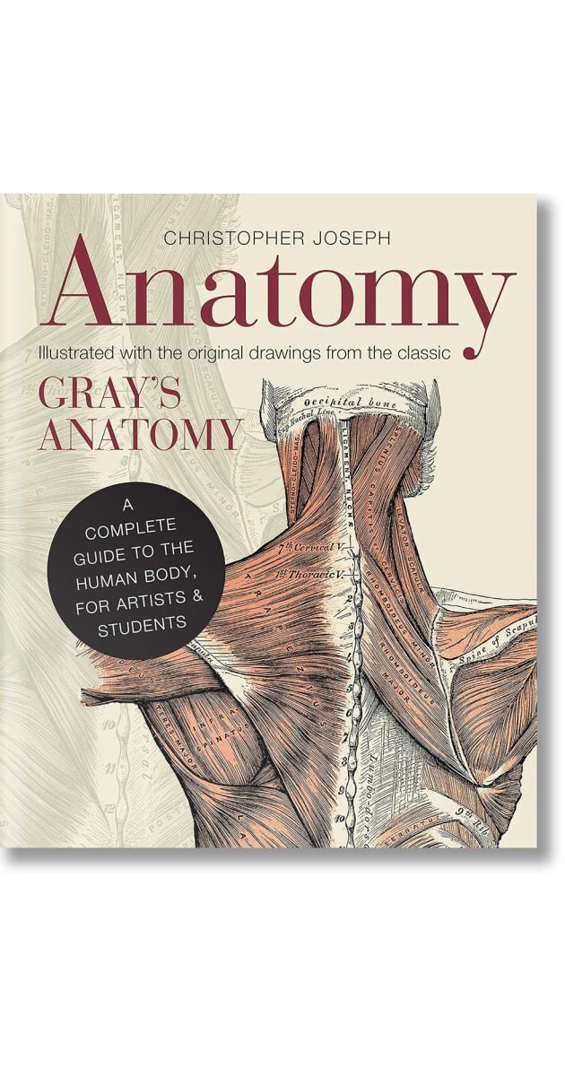 Anatomy: A Complete Guide to the Human Body, For Artists and Students ...